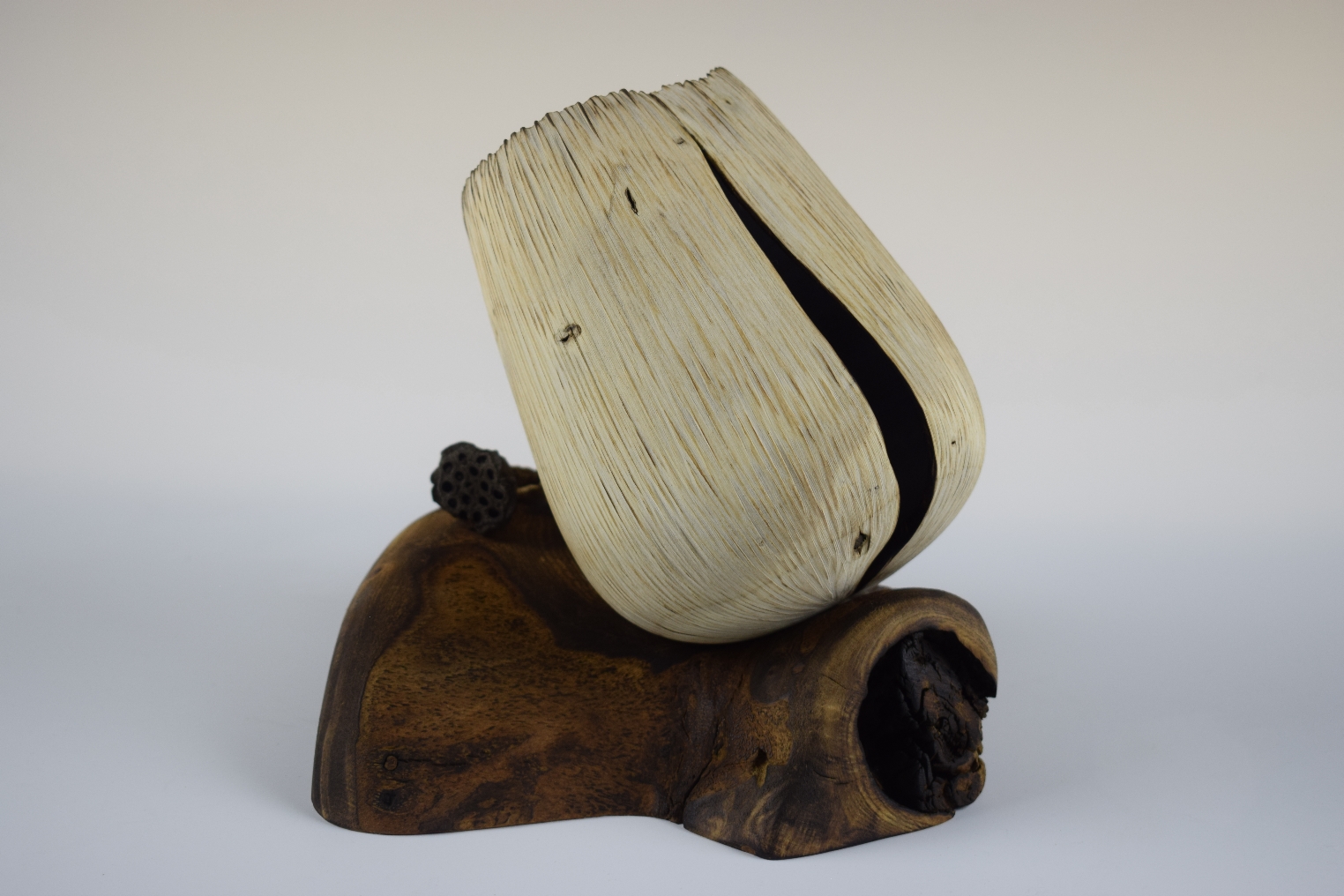 HOLLY POD - Howard Lewis